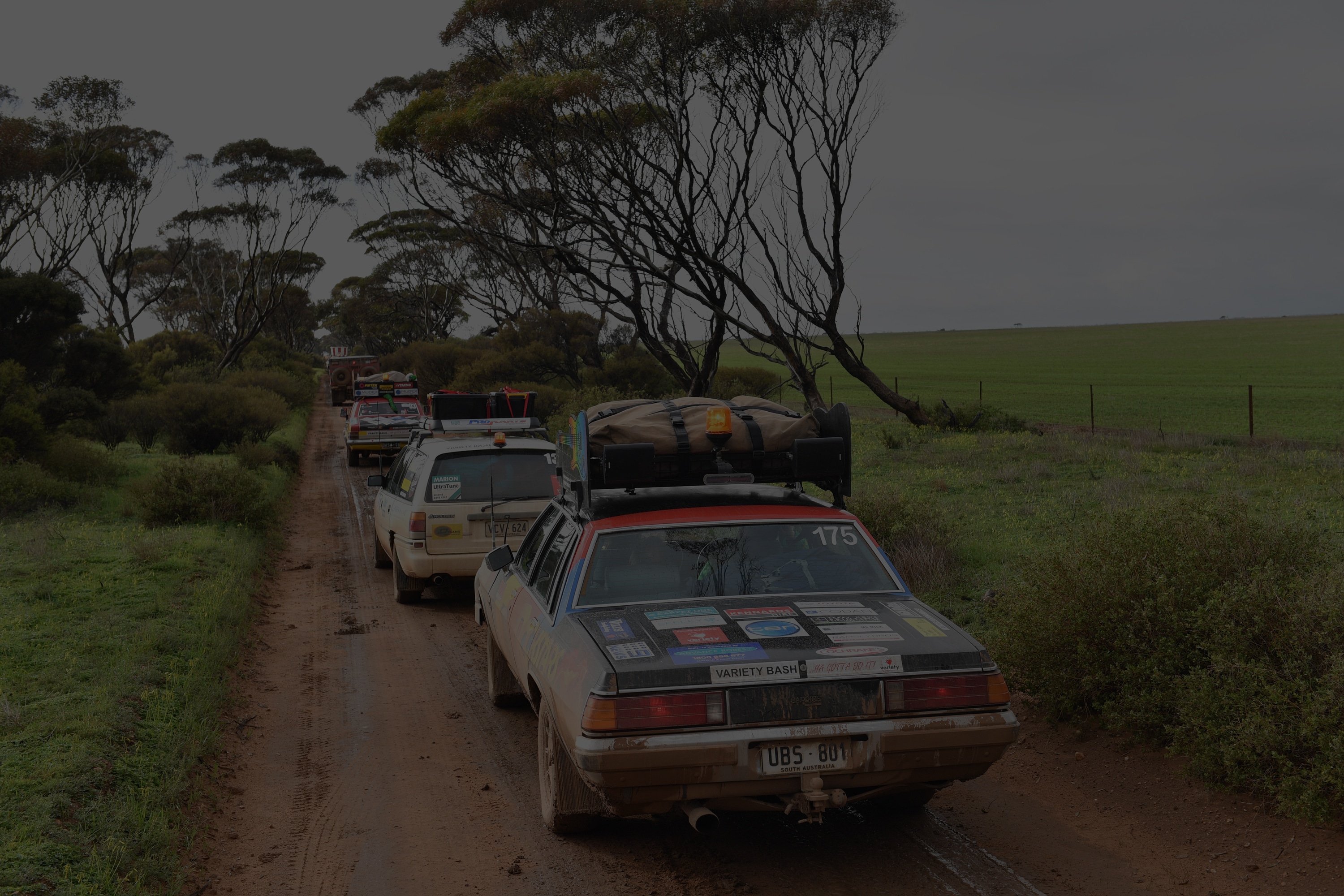 Bash SA - Variety Bash